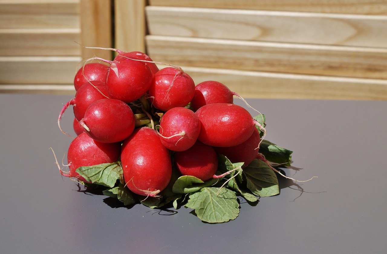 Radish Vegetables Food - Free photo on Pixabay - Pixabay