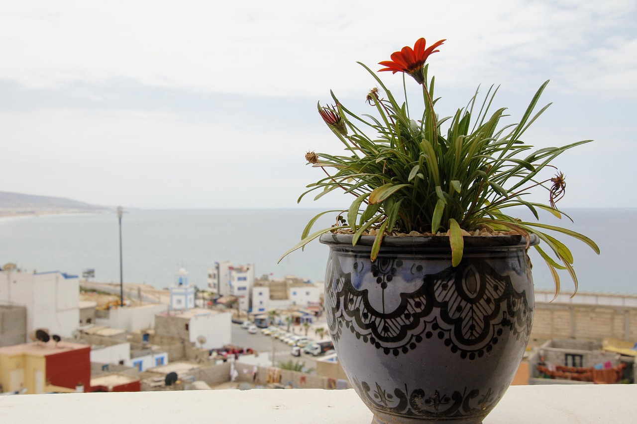 Pot Tanaman Bunga - Foto gratis di Pixabay - Pixabay