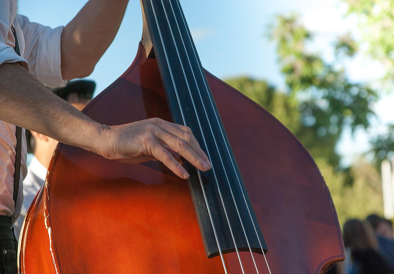 Bass Musician Music - Free photo on Pixabay