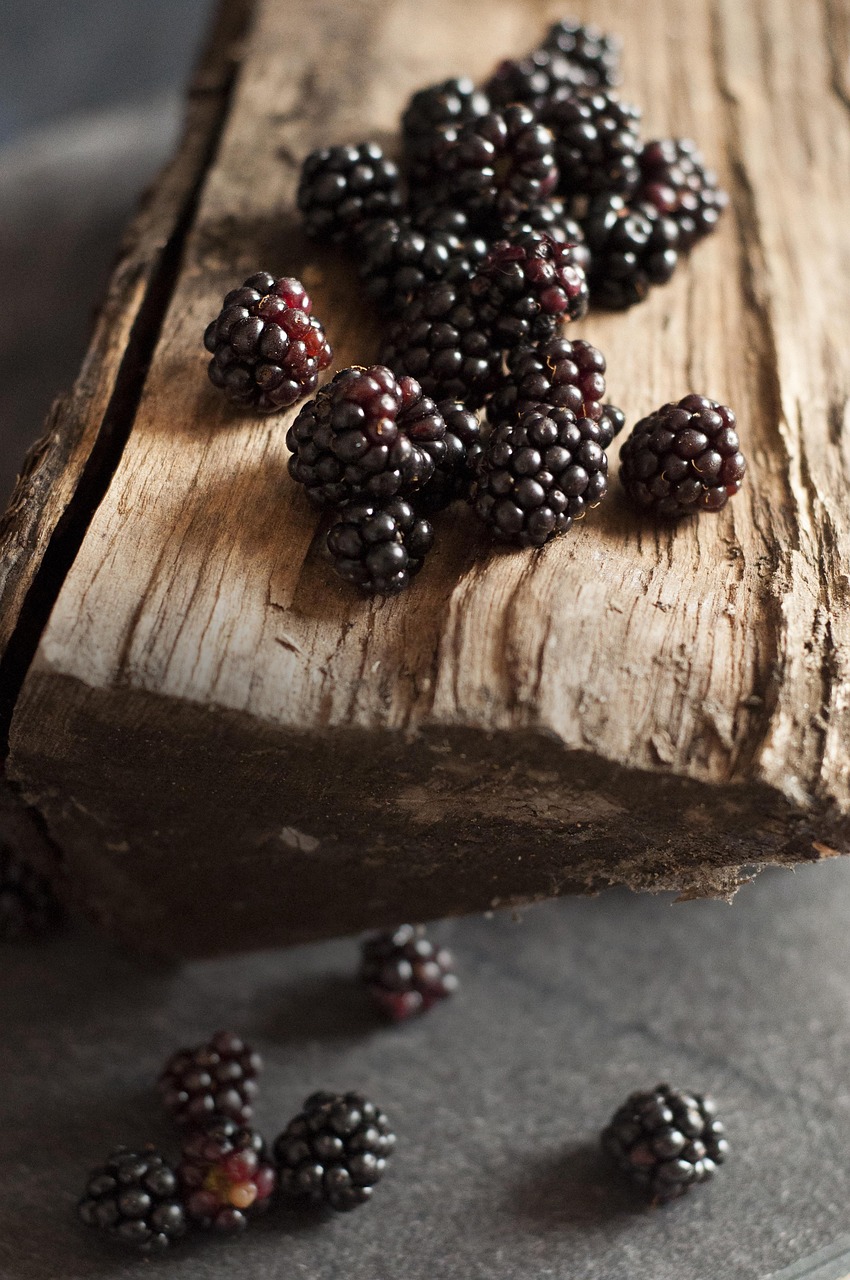 Brombeeren Wald Obst - Kostenloses Foto auf Pixabay - Pixabay