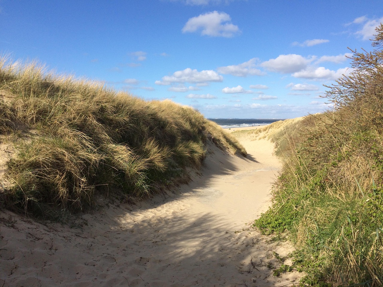 Holland Zeeland Strand · Kostenloses Foto auf Pixabay