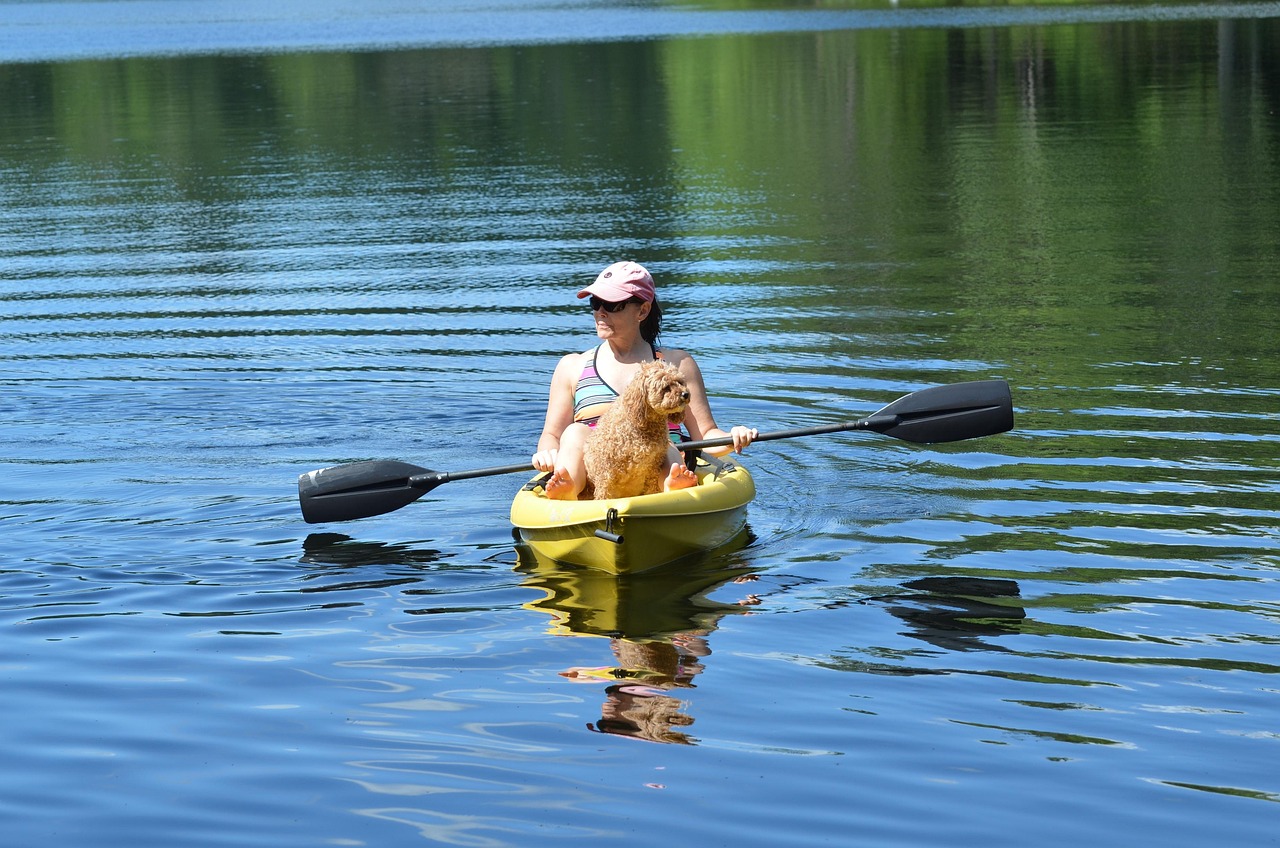 Plus de 20 000 images de Chien Canoe et de Chien - Pixabay