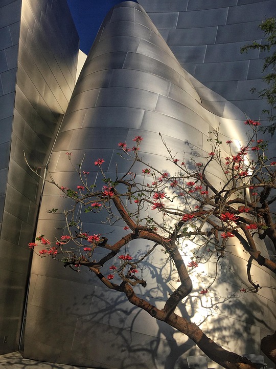 L'Architecture Conception Fleurs - Photo gratuite sur Pixabay - Pixabay