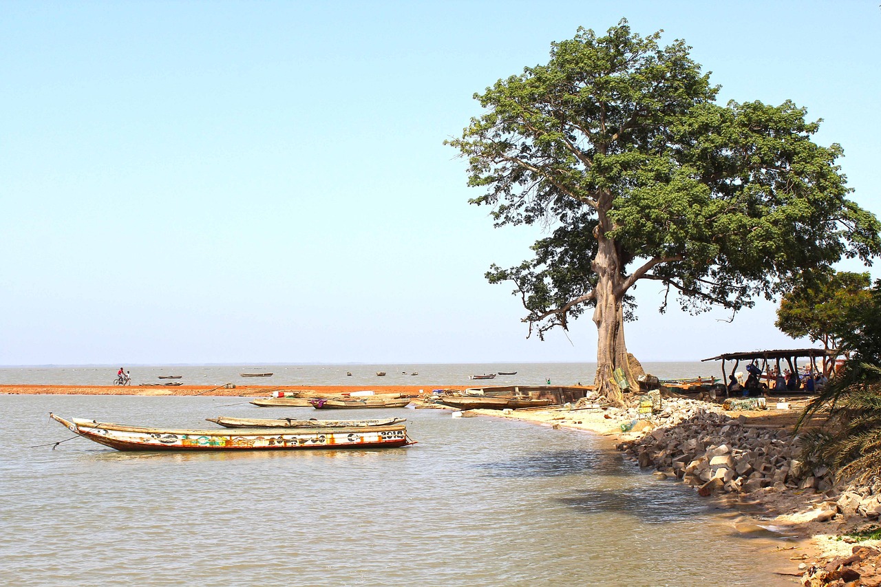 Pelabuhan Perikanan Perahu - Foto gratis di Pixabay - Pixabay