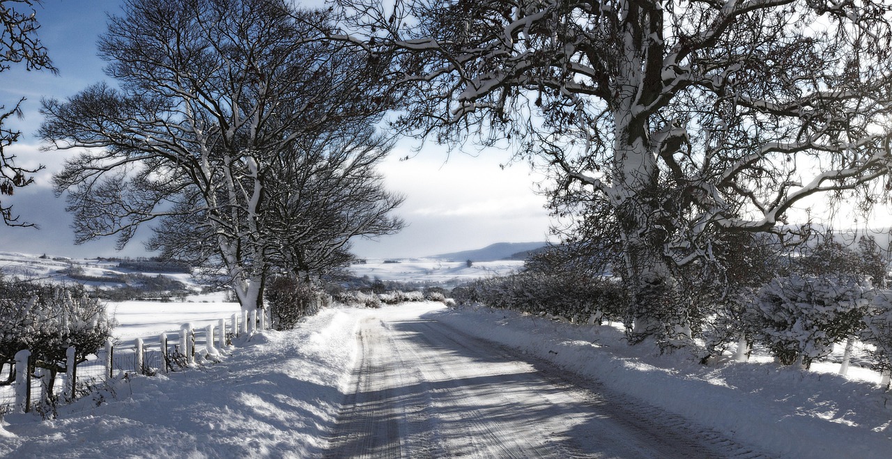 Snow Landscape Rothbury - Free photo on Pixabay - Pixabay