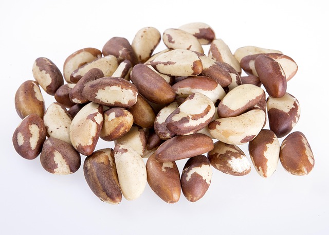 9,000+ Free Brazil Nut & Nuts Images - Pixabay