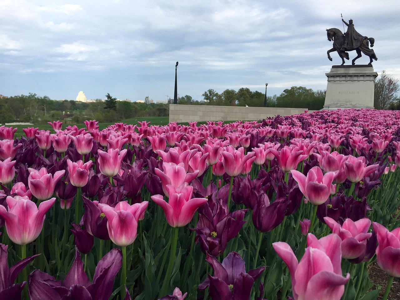 100+ Free St Louis & Missouri Images - Pixabay