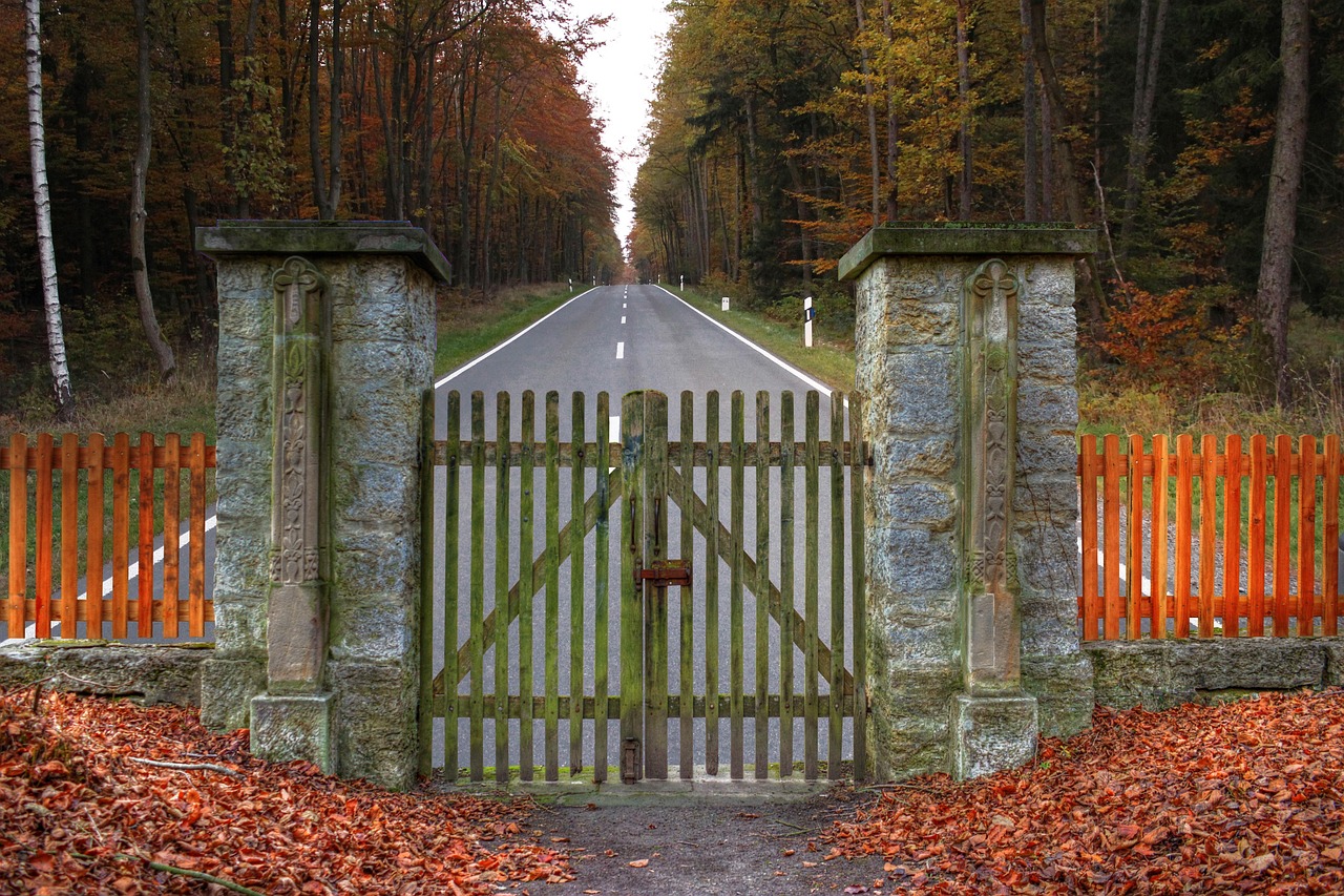 10,000+ Free Access Point & Point Images - Pixabay