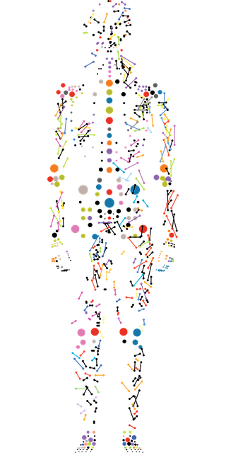 Download Person From Dots, Personalized Medicine, Precision Medicine ...