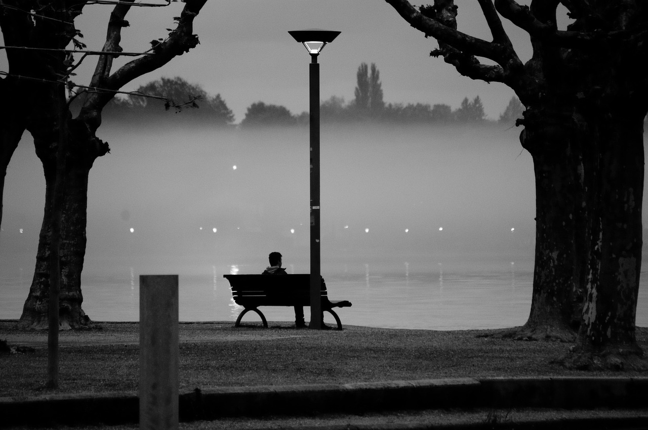 Eve Evening Atmosphere Fog - Free photo on Pixabay - Pixabay