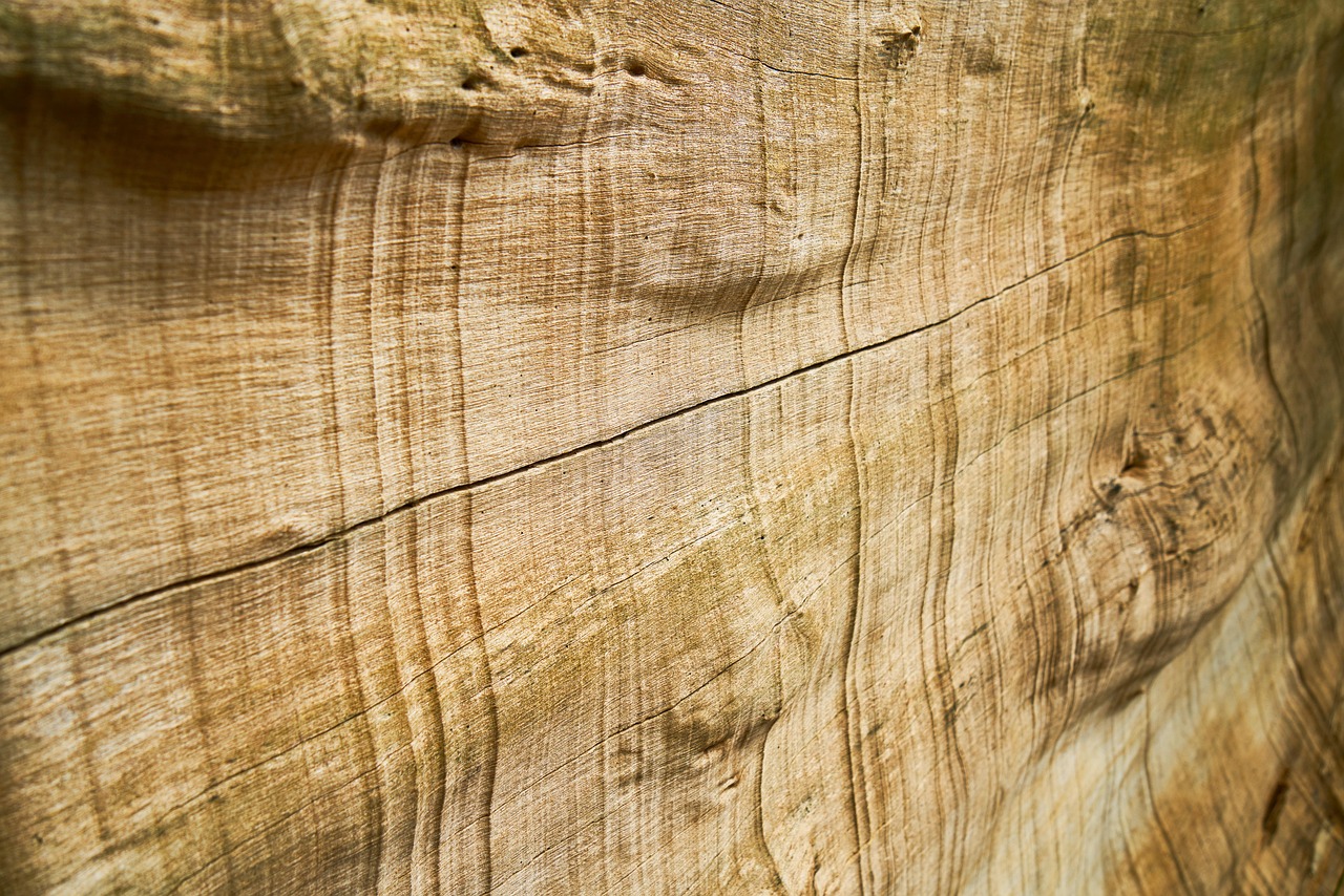 Wood Texture Pattern - Free photo on Pixabay
