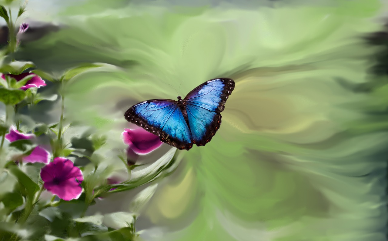 Blue Butterfly Petunia Garden - Free photo on Pixabay - Pixabay