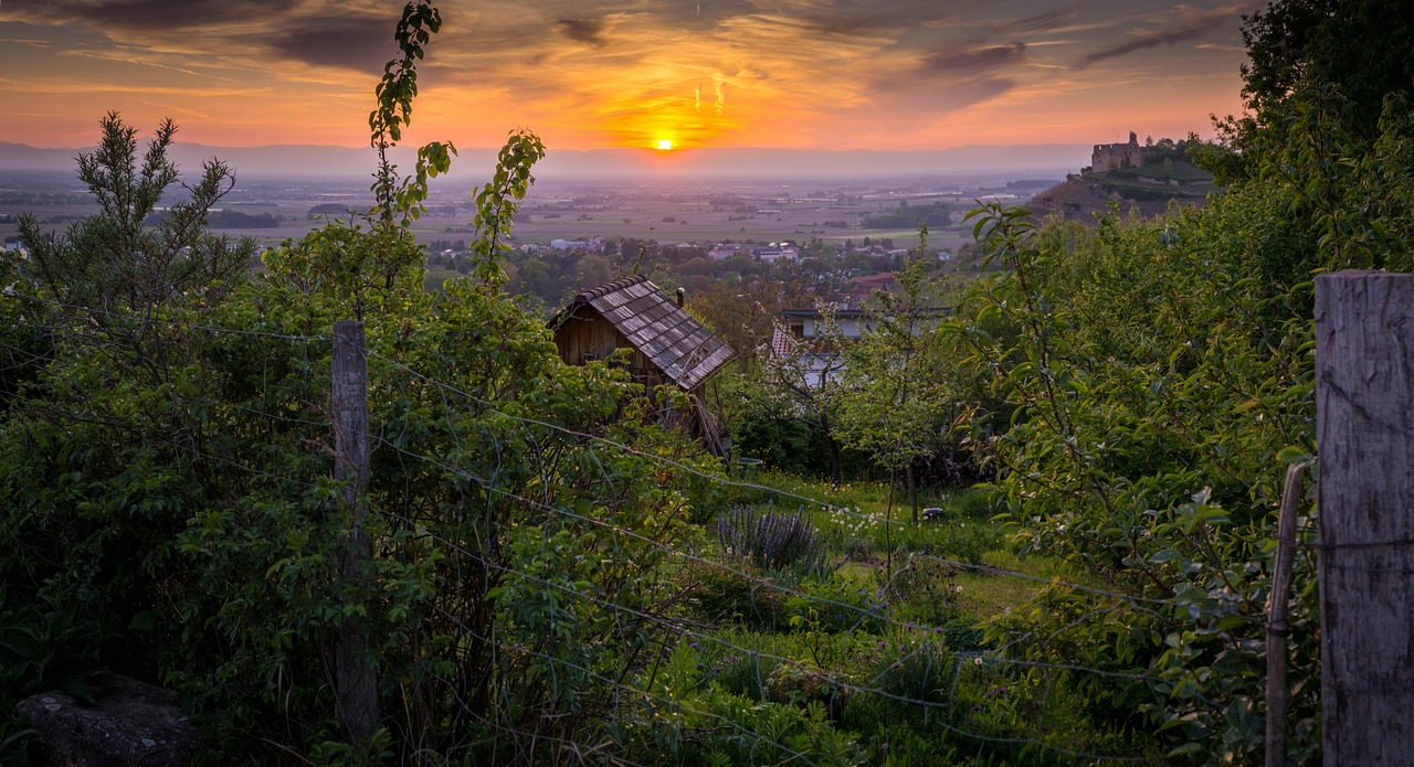 Staufen Im Breisgau Tomar - Foto gratuita no Pixabay - Pixabay