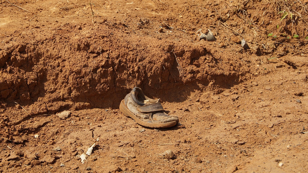 Shoe Red Earth Nature - Free photo on Pixabay - Pixabay