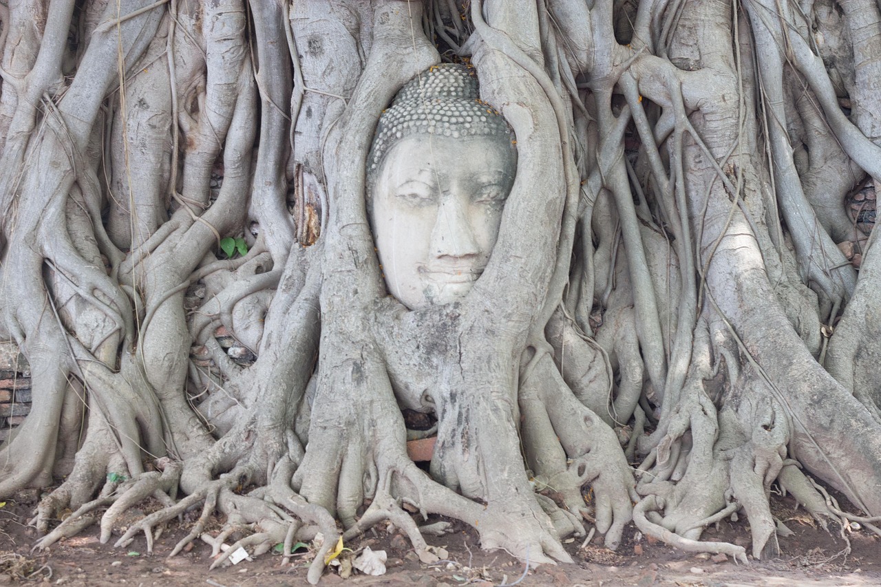 Ayutthaya Tree Buddha Head - Free photo on Pixabay - Pixabay