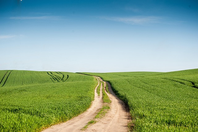 Droga Polna Piasek Nasionko - Darmowe zdjęcie na Pixabay - Pixabay
