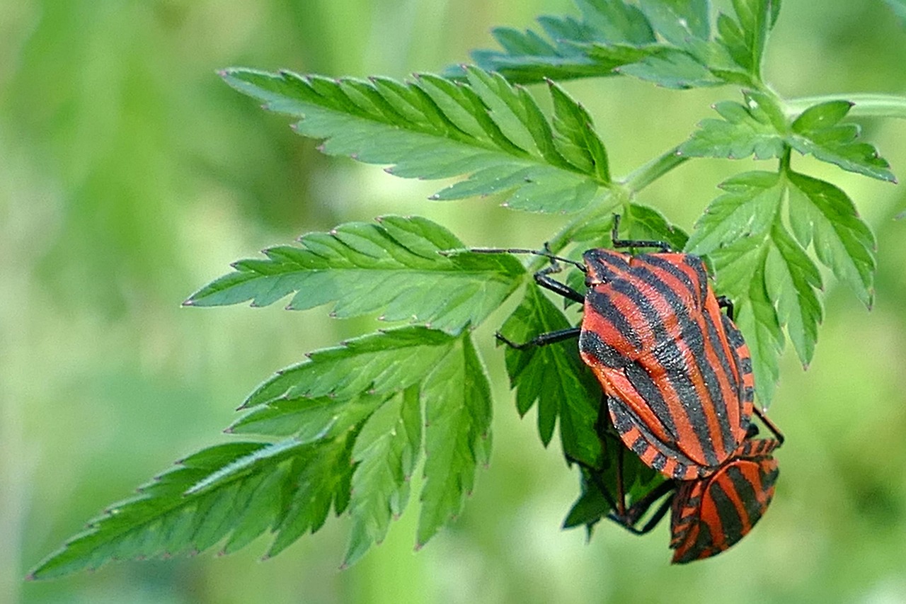 Peste 100 de imagini gratuite cu Dezbrăcat și Femeie - Pixabay
