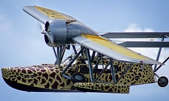 5+ Free Flying Giraffe & Giraffe Photos - Pixabay