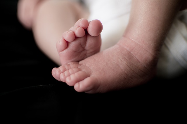 Baby Toes Feet - Free photo on Pixabay - Pixabay