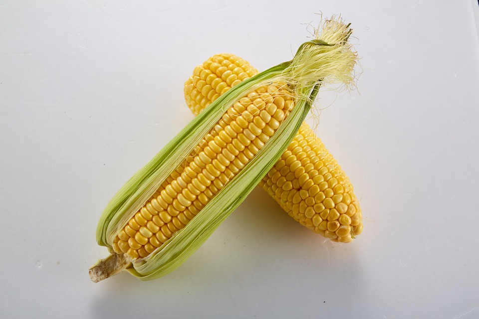Whole Grains Corn - Free photo on Pixabay