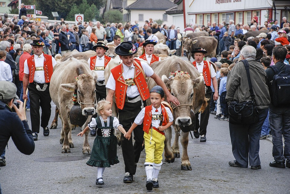 The Cattle Market Cow Appenzell - Free photo on Pixabay - Pixabay