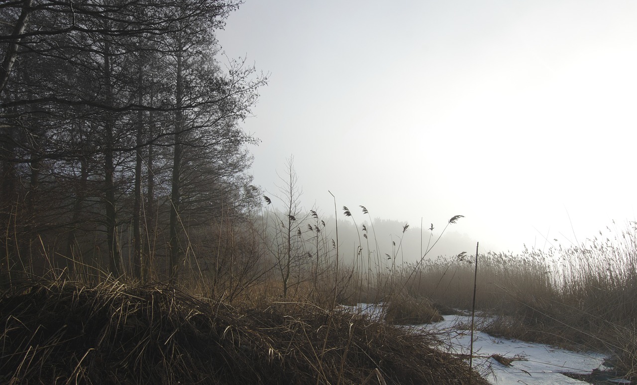Sea Sumu Maisema - Ilmainen valokuva Pixabayssa - Pixabay