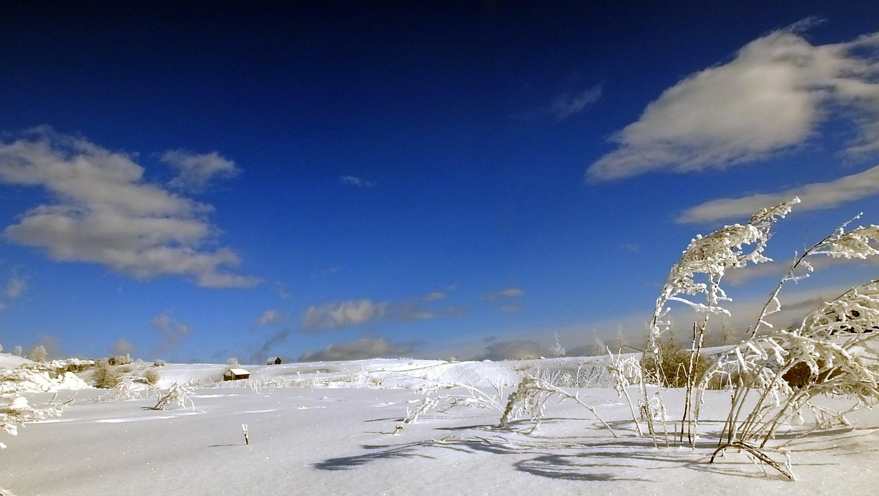 Paisaje De Invierno Frío Escarcha - Foto gratis en Pixabay - Pixabay