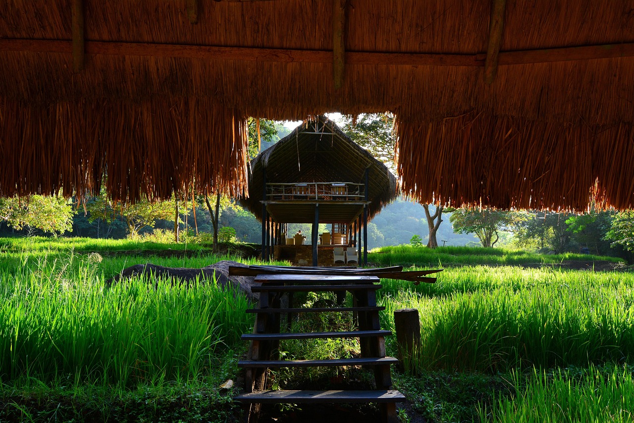 200+ Free Village Scene & Village Images - Pixabay