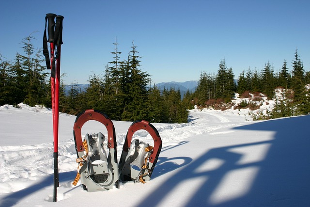 Snowshoes Snowshoeing Winter - Free photo on Pixabay - Pixabay