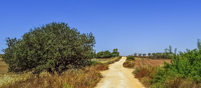Camino Rural Campo La Carretera - Foto gratis en Pixabay - Pixabay