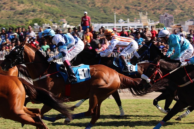 Jockey Horse Race - Free photo on Pixabay