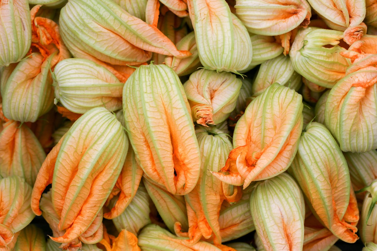 Kelopak Zucchini Bunga Keahlian - Foto gratis di Pixabay - Pixabay