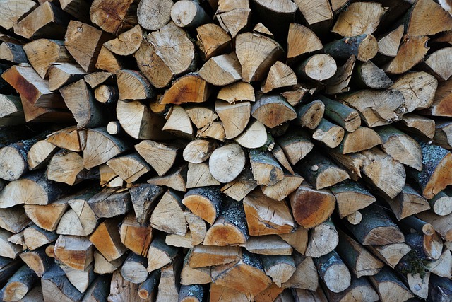 Wood Beech Firewood Pile Of - Free photo on Pixabay - Pixabay