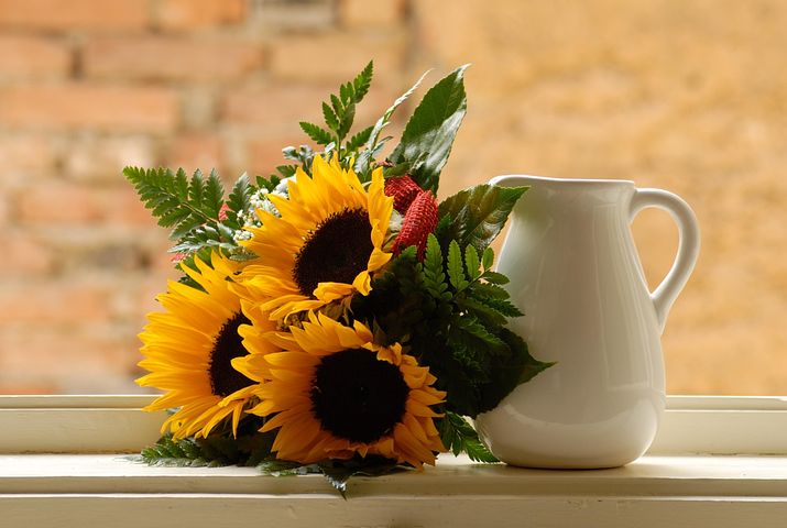 100+ Free Morning Window & Window Photos - Pixabay