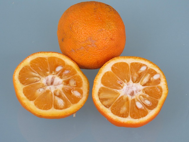 Citrino Toranja Fruta - Foto gratuita no Pixabay - Pixabay