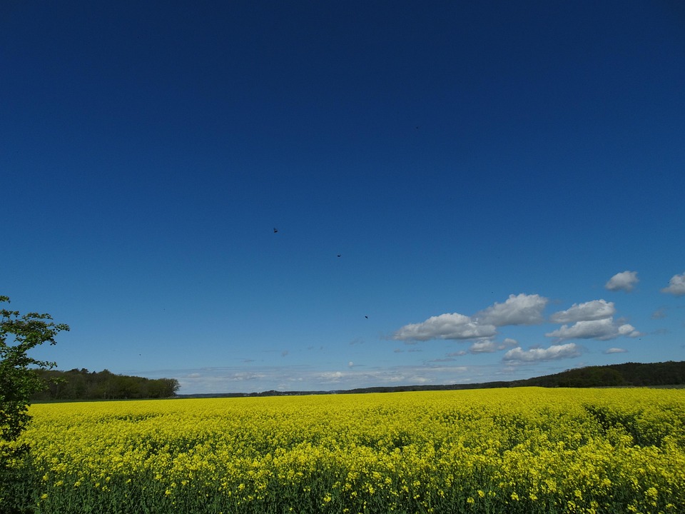Mittelmeer Blauer Himmel Natur - Kostenloses Foto auf Pixabay - Pixabay