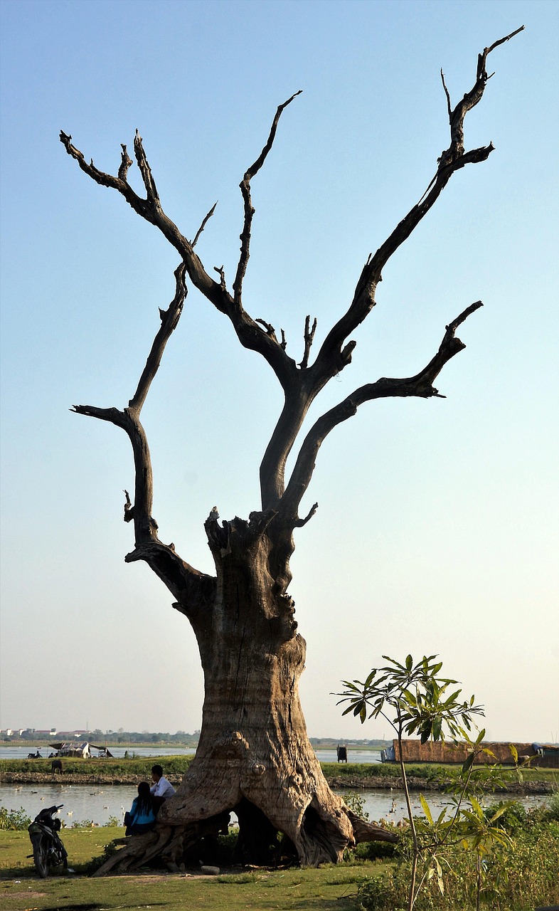 90+ Free Mandalay & Myanmar Images - Pixabay