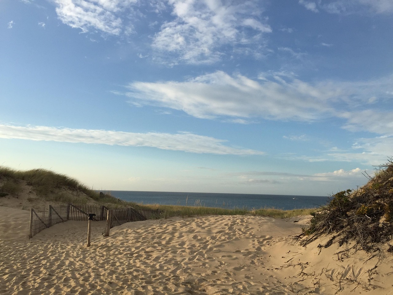 20+ Free Provincetown & Cape Cod Images - Pixabay