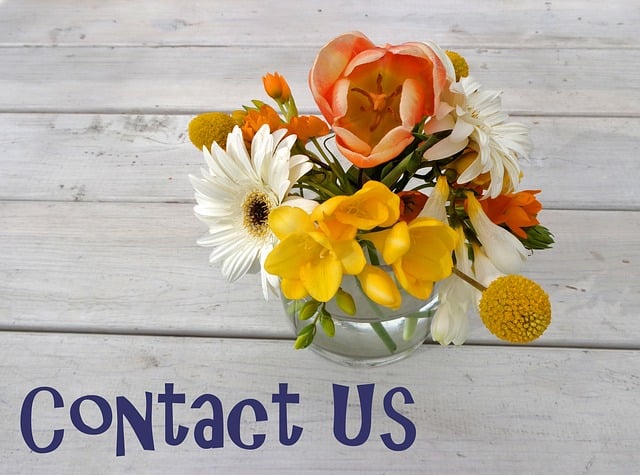Contact Us Friendly - Free image on Pixabay