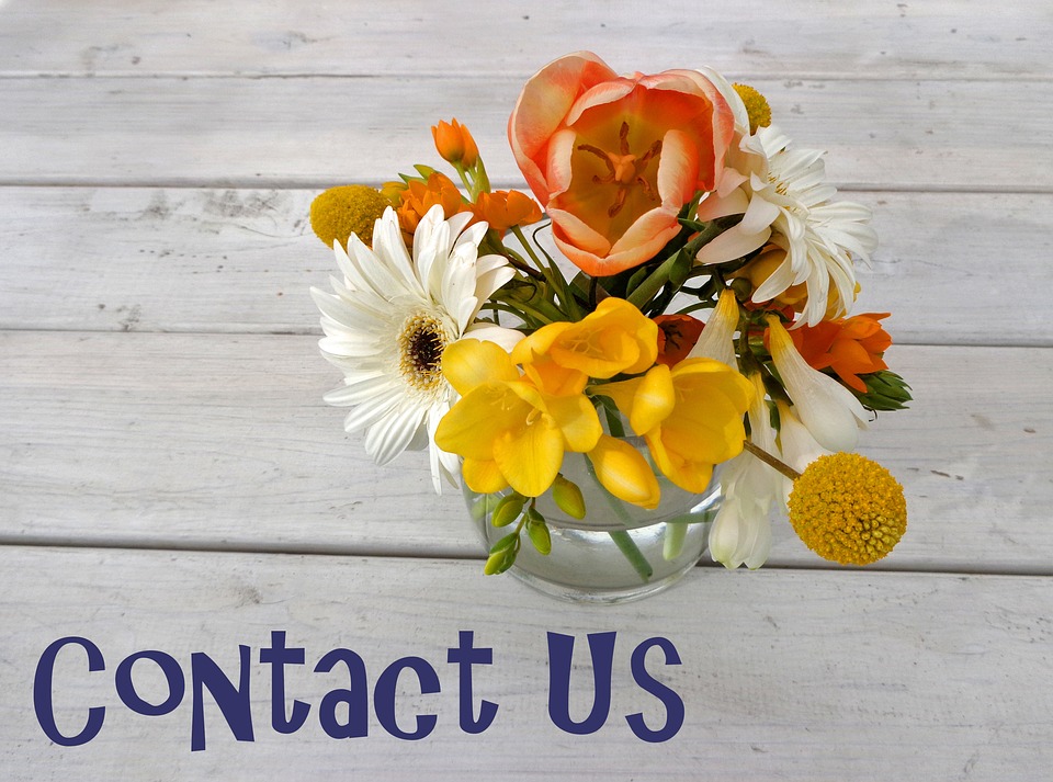 Contact Us Friendly - Free image on Pixabay