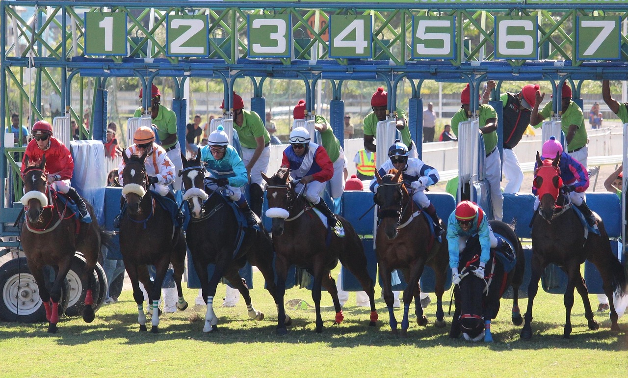 Horse Race Begin Fall - Free photo on Pixabay - Pixabay
