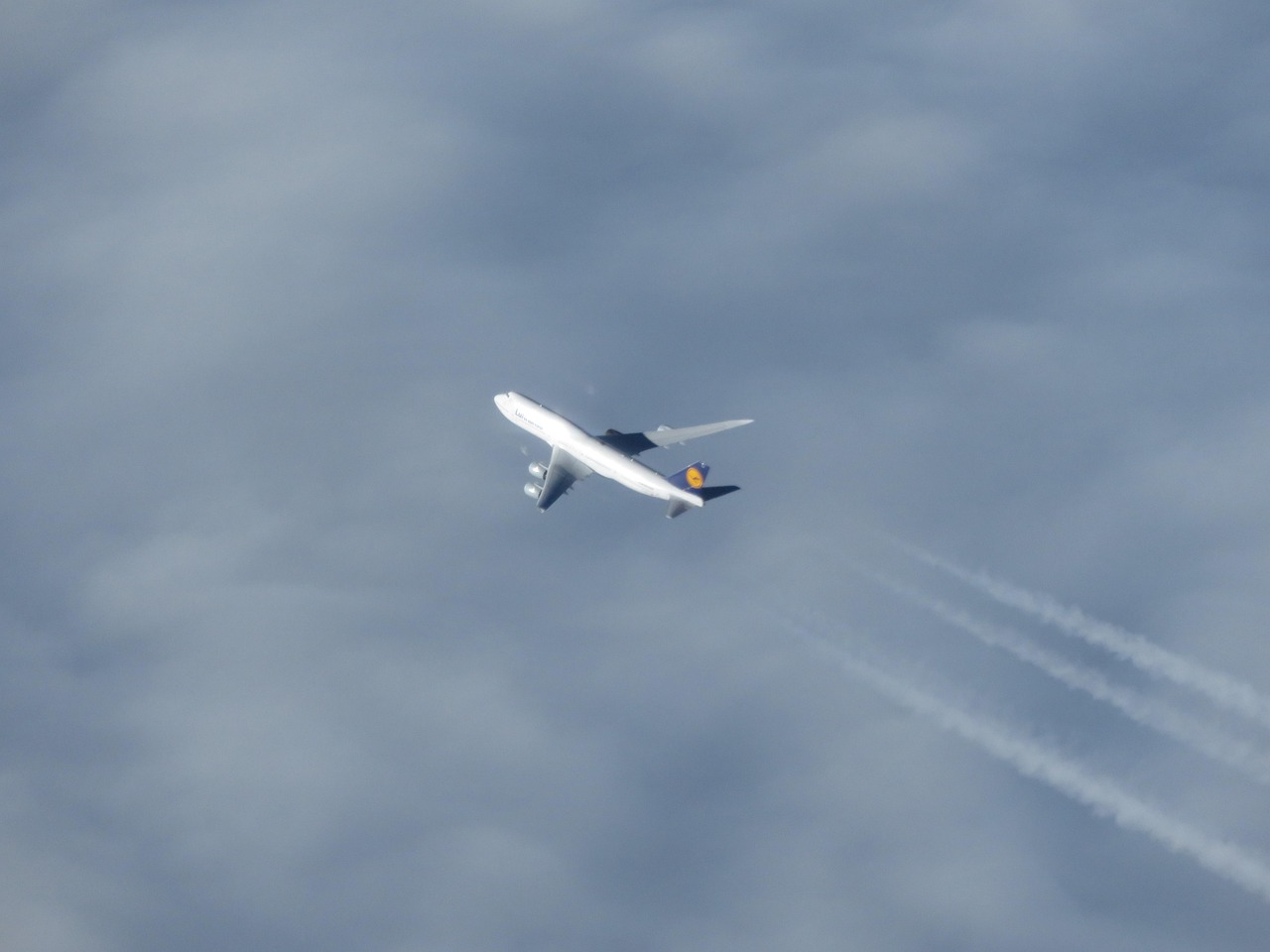 Plane Aerial View Flying - Free photo on Pixabay - Pixabay