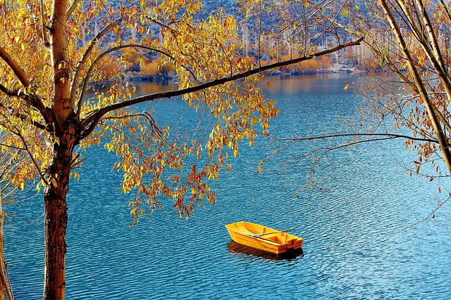 Tree Lake Pakistan - Free photo on Pixabay - Pixabay