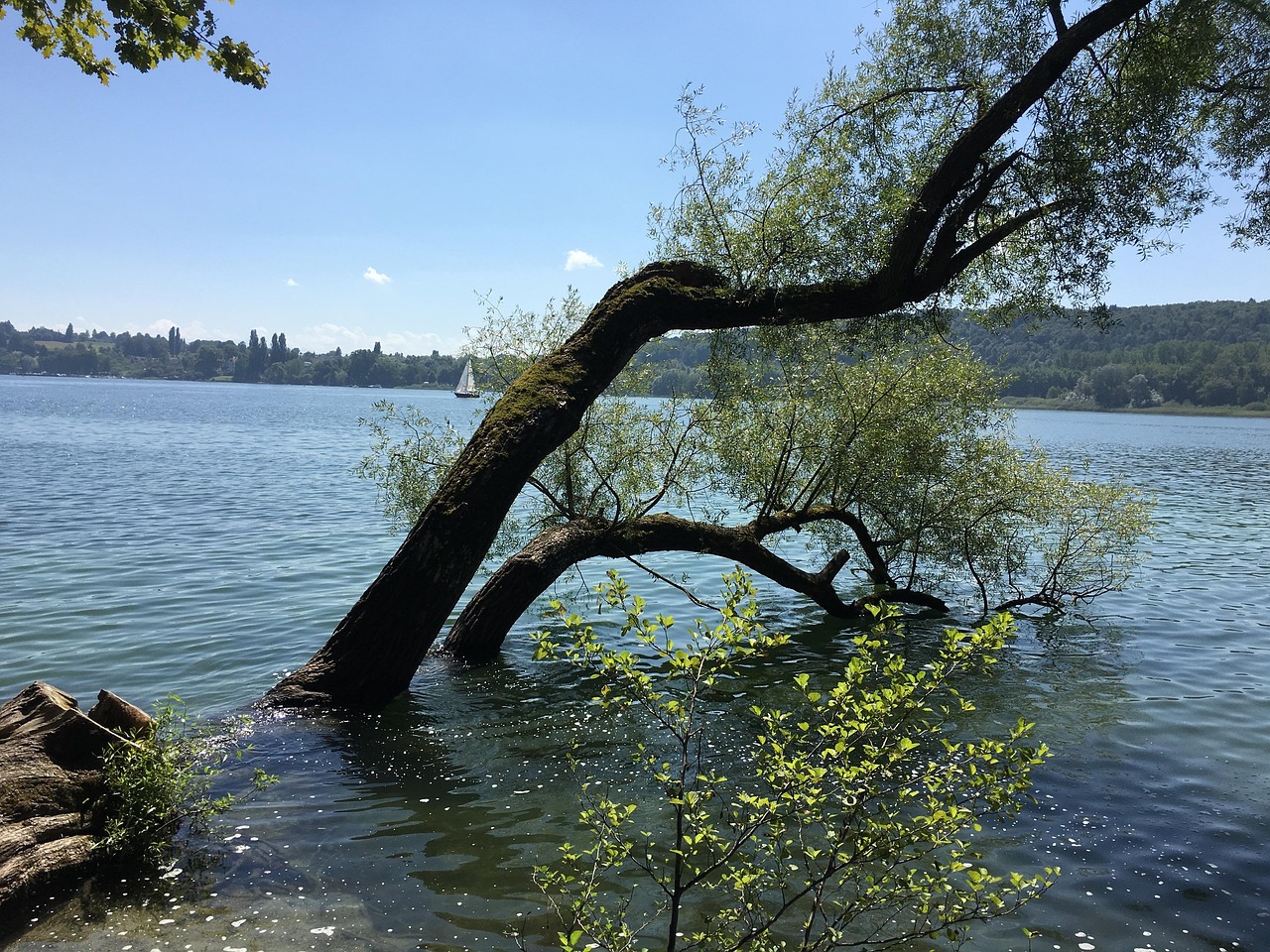 Lago De Constanza El Verano - Foto gratis en Pixabay - Pixabay
