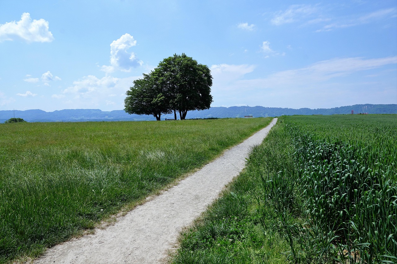 Zollikon Switzerland Zurich - Free photo on Pixabay - Pixabay