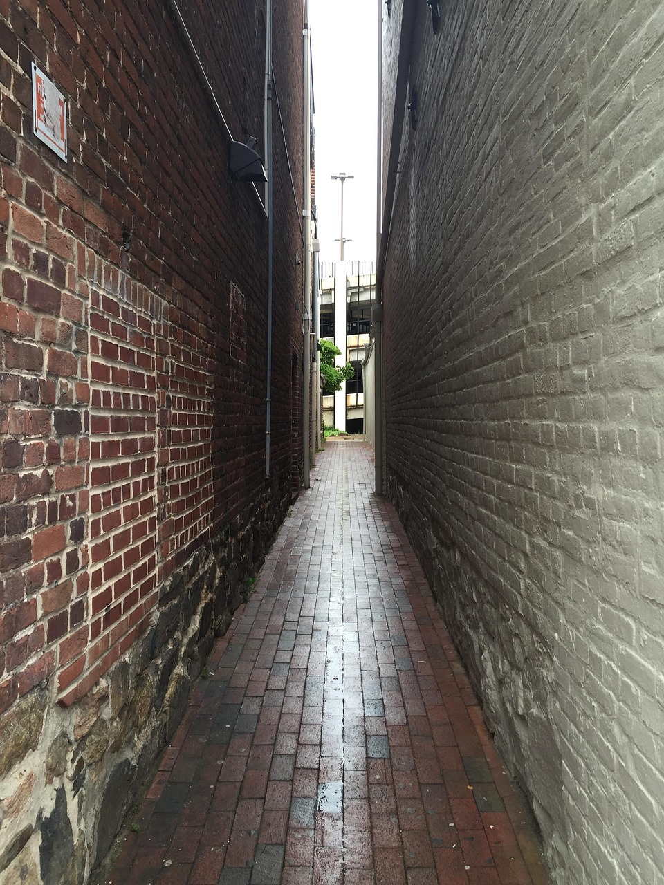 Narrow Passage Path Free Photo On Pixabay Pixabay