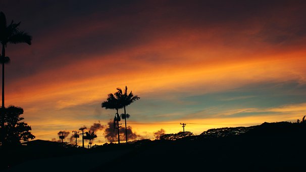 60+ Free Orang Hawaii & Hawaii Images - Pixabay