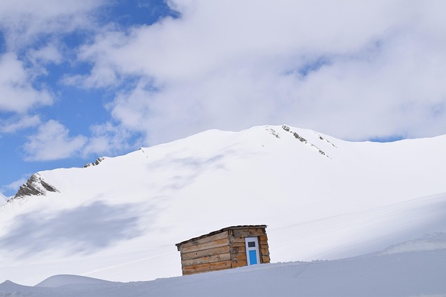 Nieve Invierno - Foto gratis en Pixabay - Pixabay