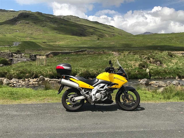 Moto Paisaje Amarillo - Foto gratis en Pixabay - Pixabay