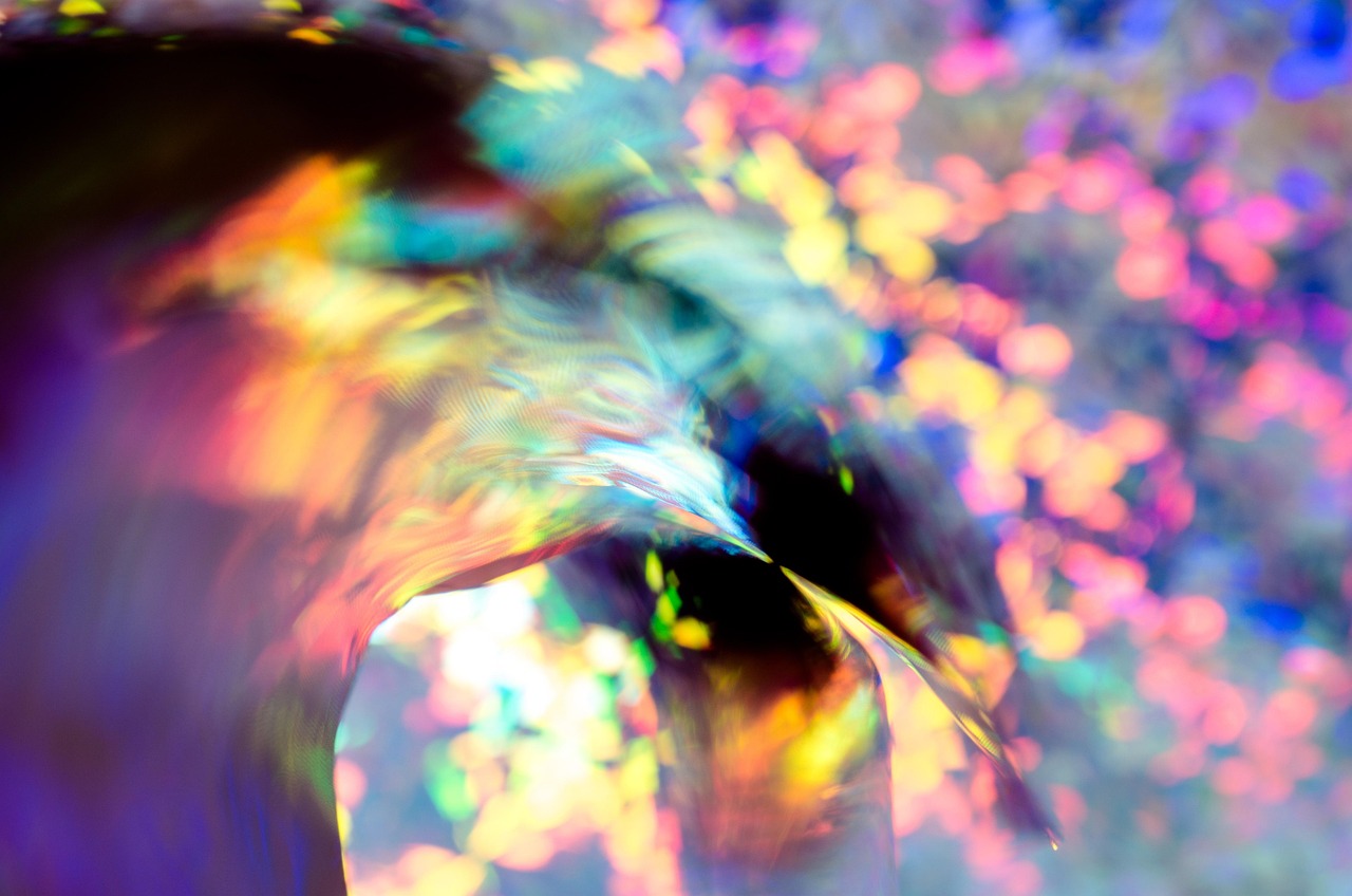 Macro Shot Close Up - Free photo on Pixabay - Pixabay